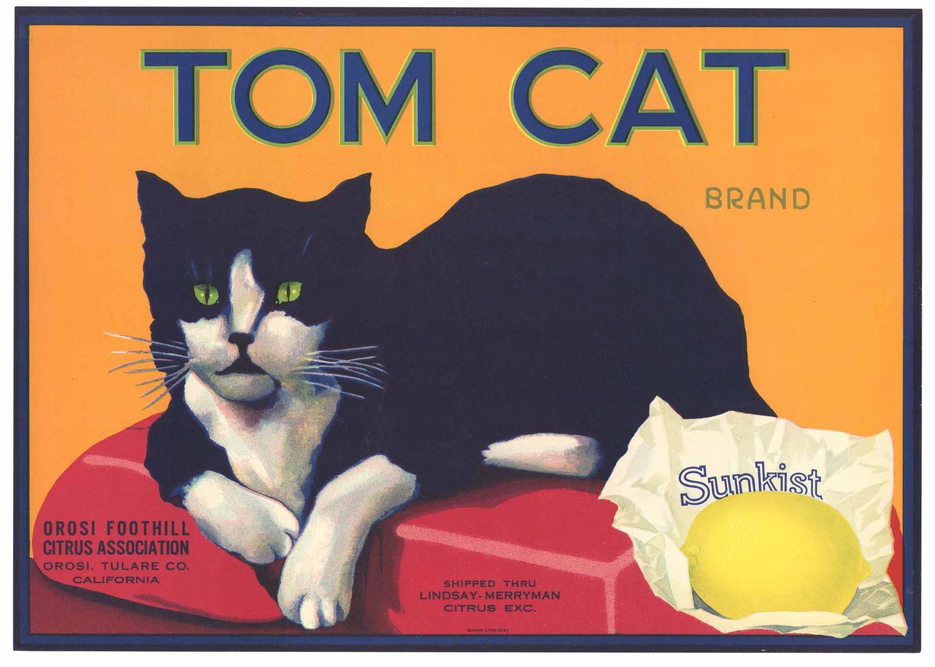 z Animal Themed Crate and Can Labels – thelabelman