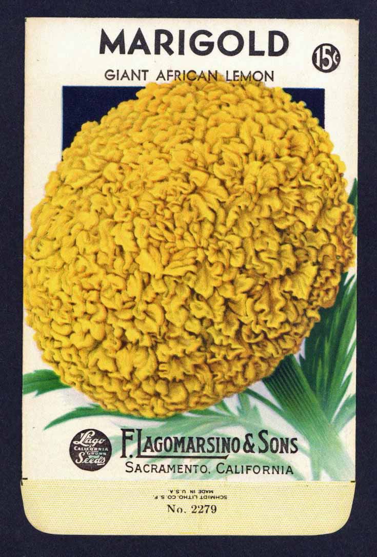 Marigold Vintage Lagomarsino Seed Packet, Giant African Lemon – thelabelman