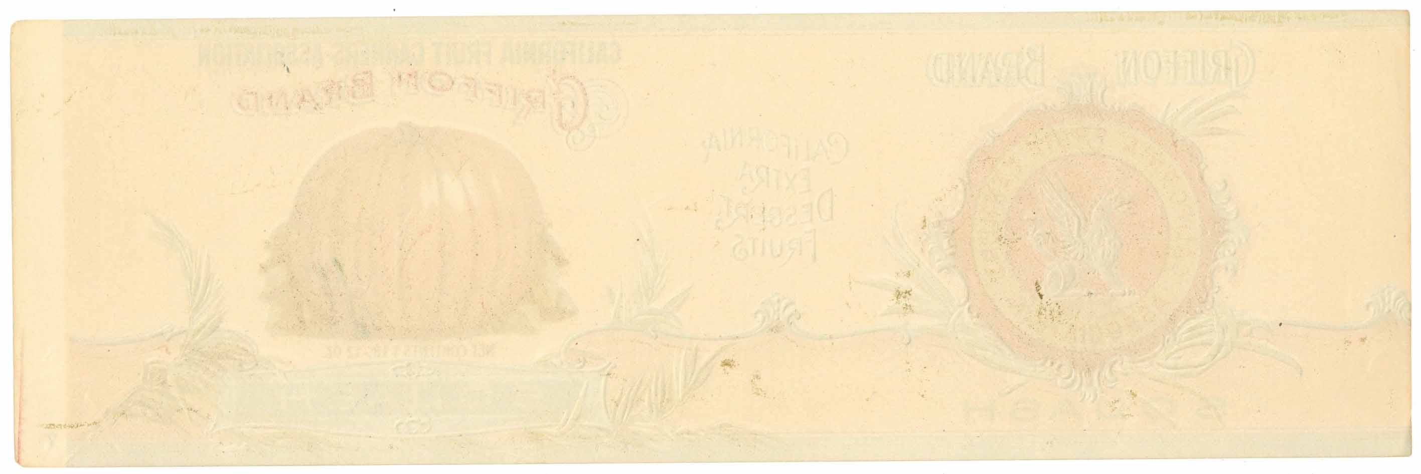 Griffon Brand Vintage Squash Can Label – thelabelman