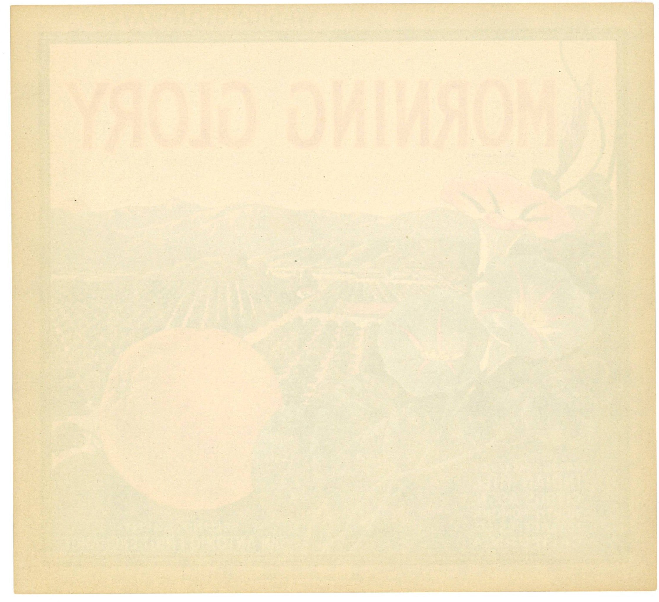 Morning Glory Brand Vintage North Pomona California Orange Crate Label ...