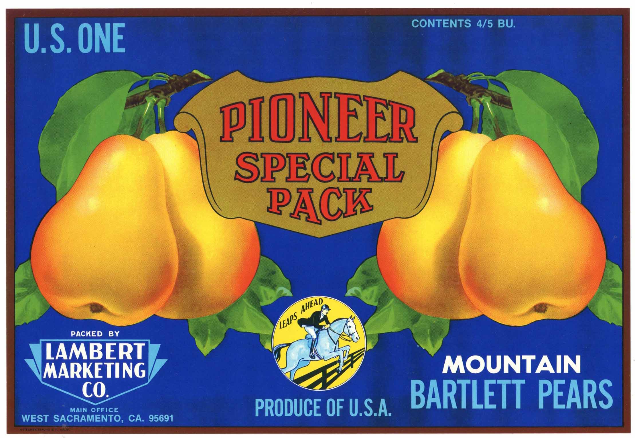 Pioneer Special Pack Brand Vintage Pear Crate Label, 4/5bu – thelabelman