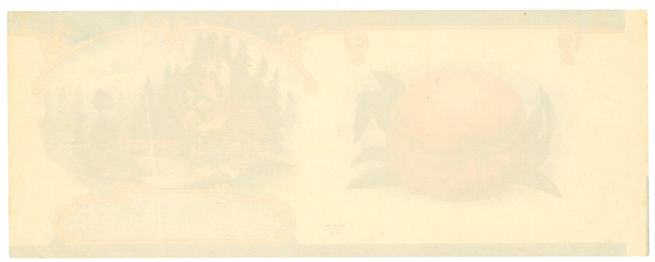 Stock Peach Can Label – thelabelman