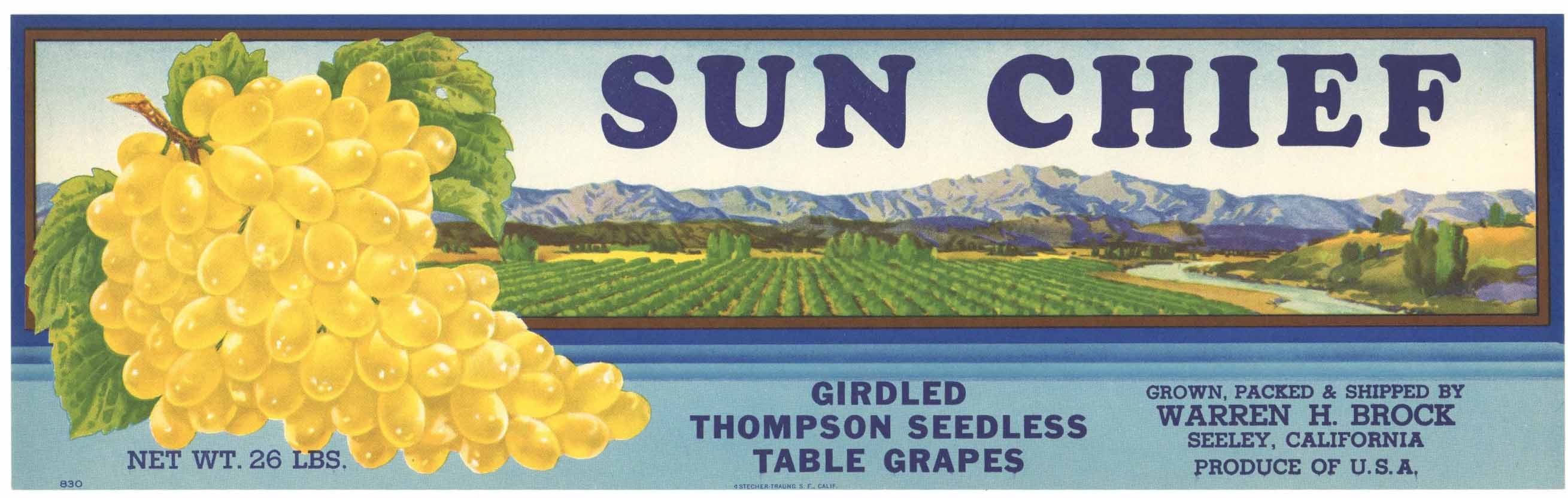 Sun Chief Brand Vintage Seeley California Grape Crate Label – thelabelman