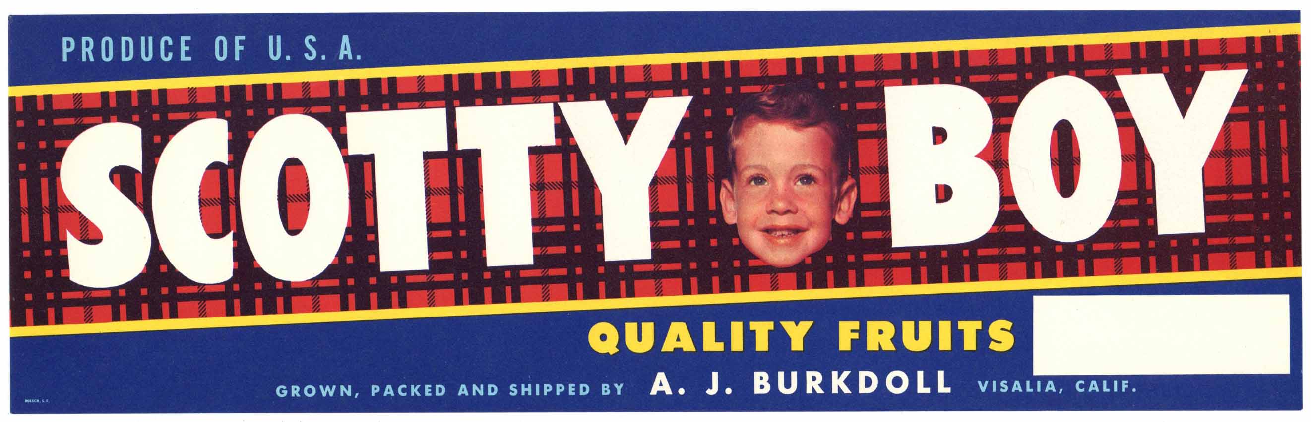 Scotty Boy Brand Vintage Visalia California Fruit Crate Label – thelabelman