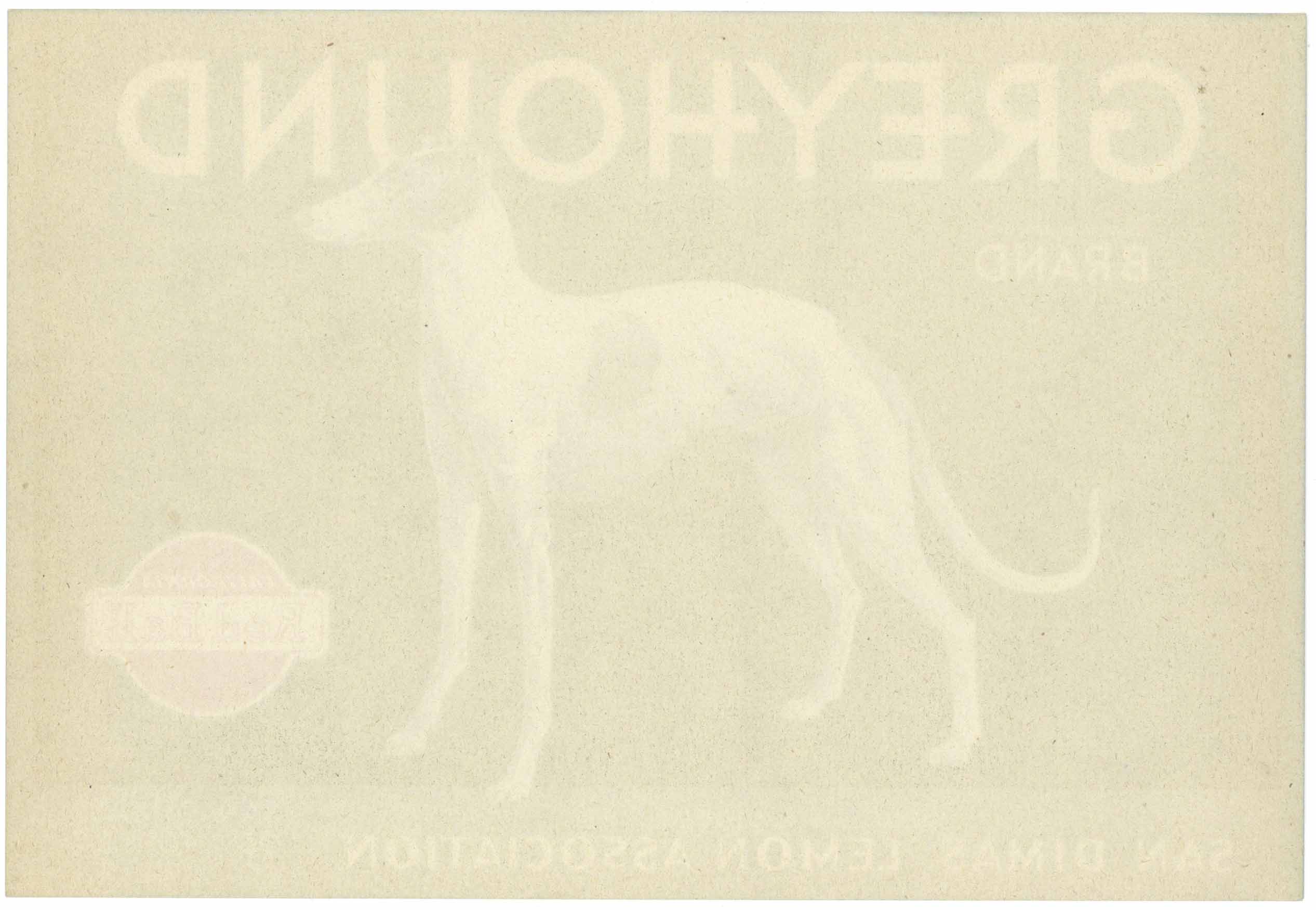 Greyhound Brand Vintage San Dimas Lemon Crate Label – thelabelman