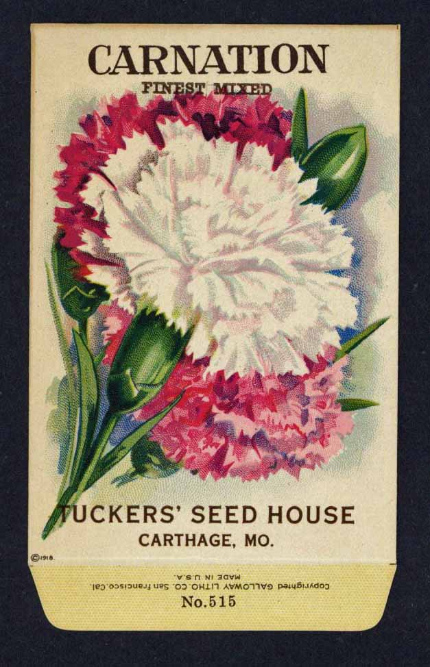 Carnation Antique Seed Packet Tuckers Seed House – thelabelman