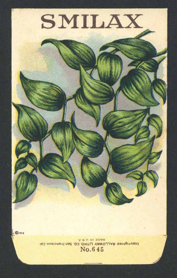 Smilax Antique Stock Seed Packet – thelabelman