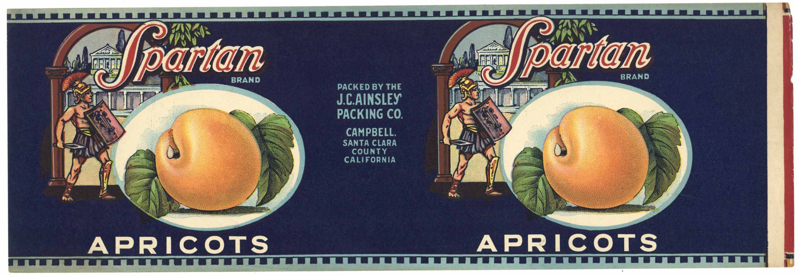 Spartan Brand Vintage Campbell Apricot Can Label, long – thelabelman