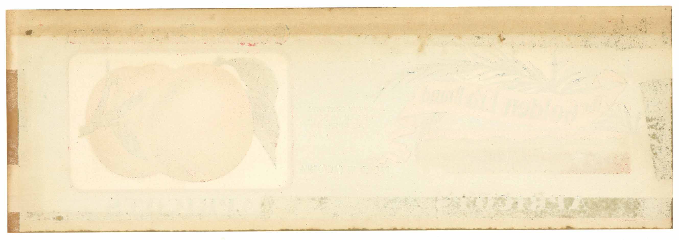 The Golden Era Brand Vintage Apricots Can Label. wear – thelabelman