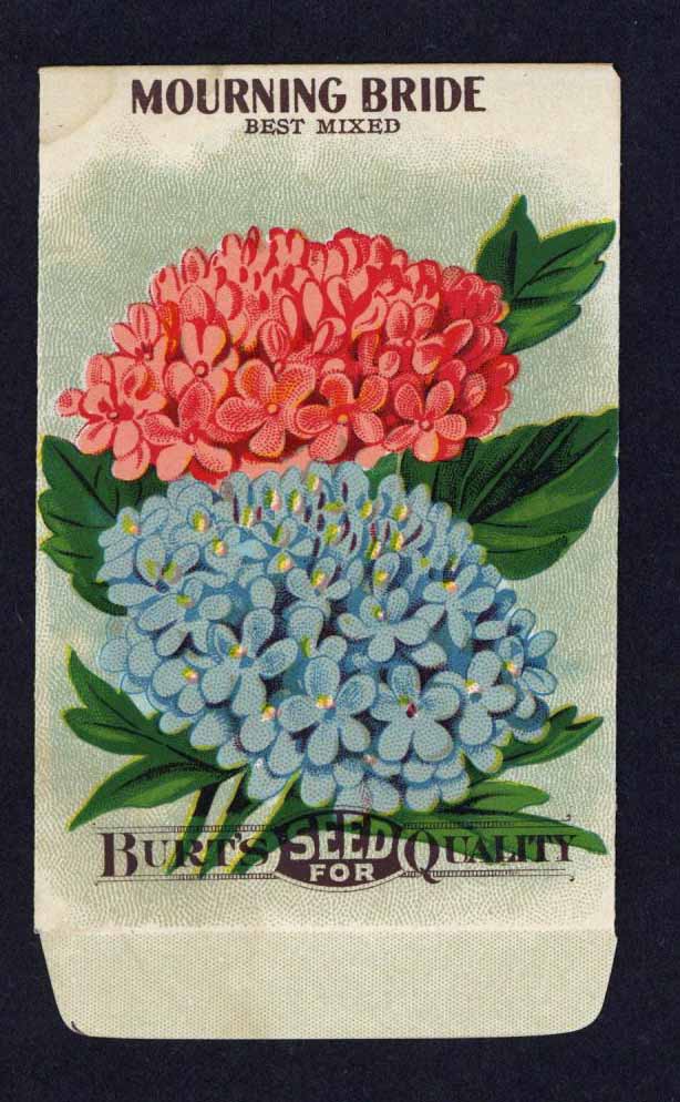 Mourning Bride Antique Burt's Seed Packet, Best Mixed – thelabelman