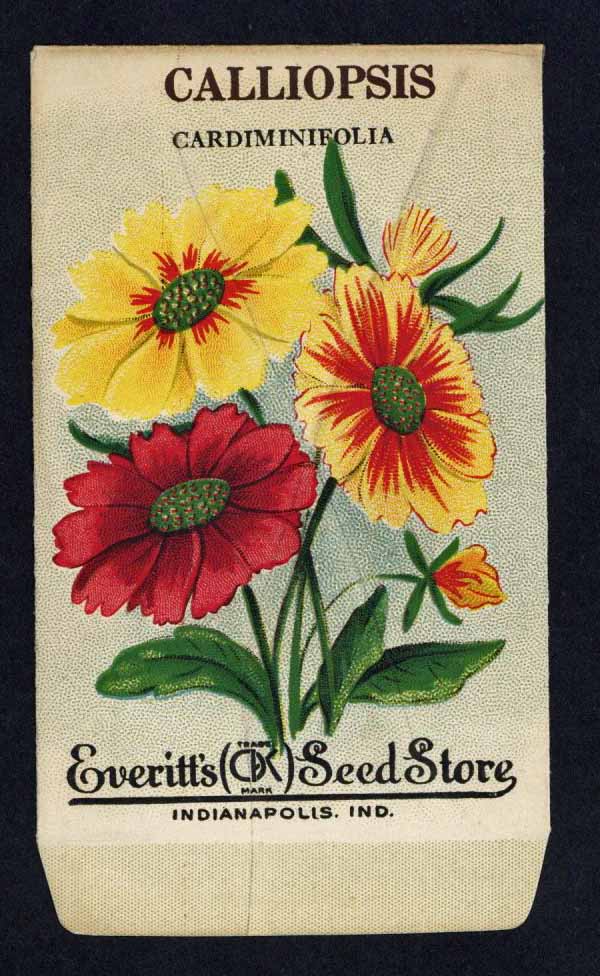 Calliopsis Antique Everitt's Seed Packet – thelabelman