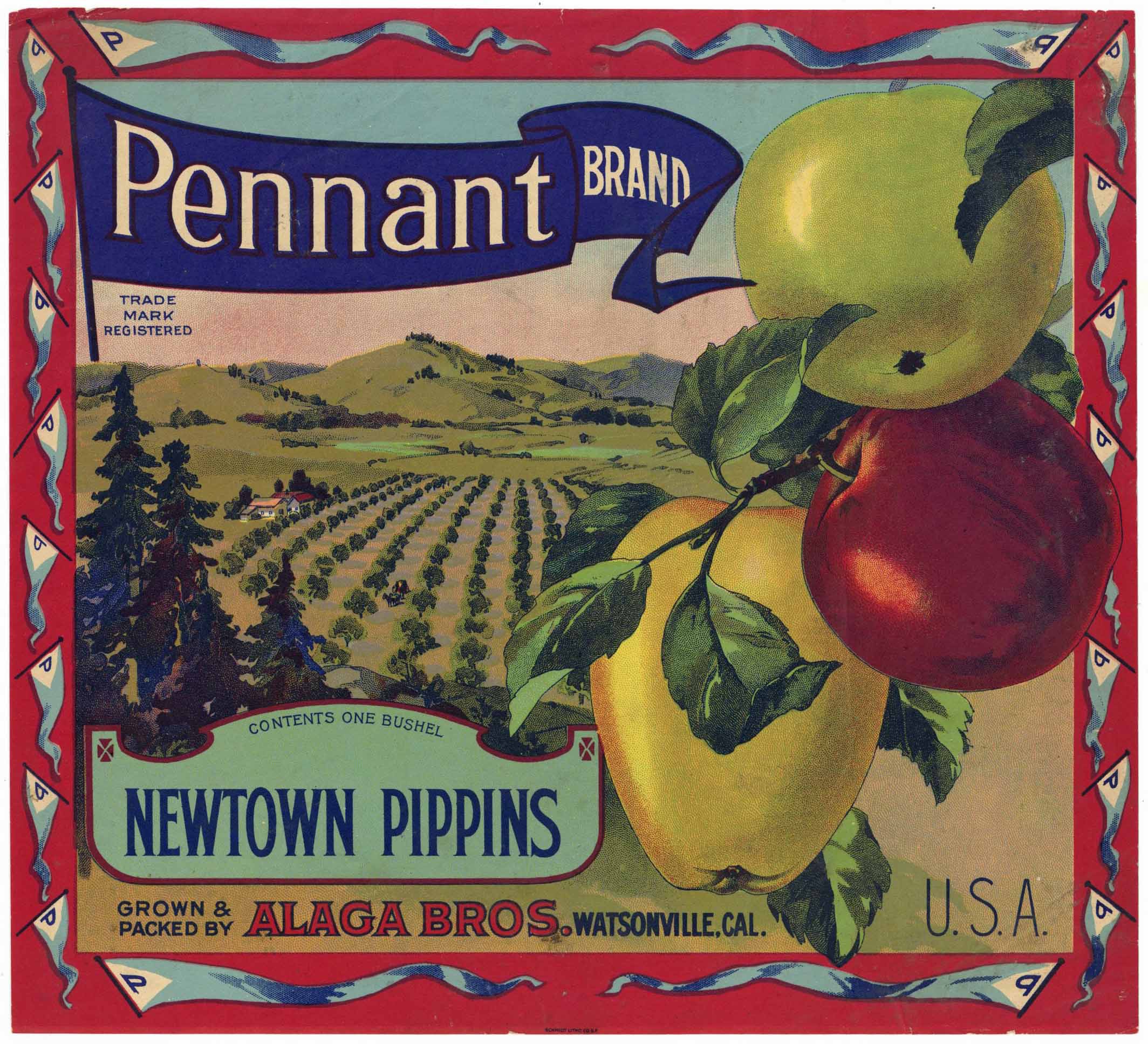 Pennant Brand Vintage Watsonville Apple Crate Label, wear – thelabelman