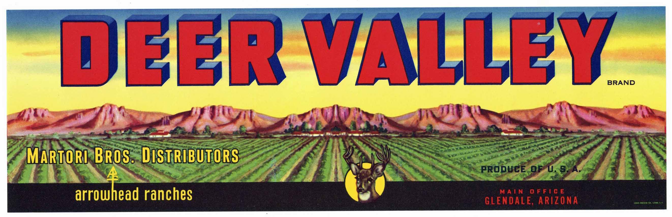 Deer Valley Brand Vintage Glendale Arizona Fruit Crate Label – thelabelman