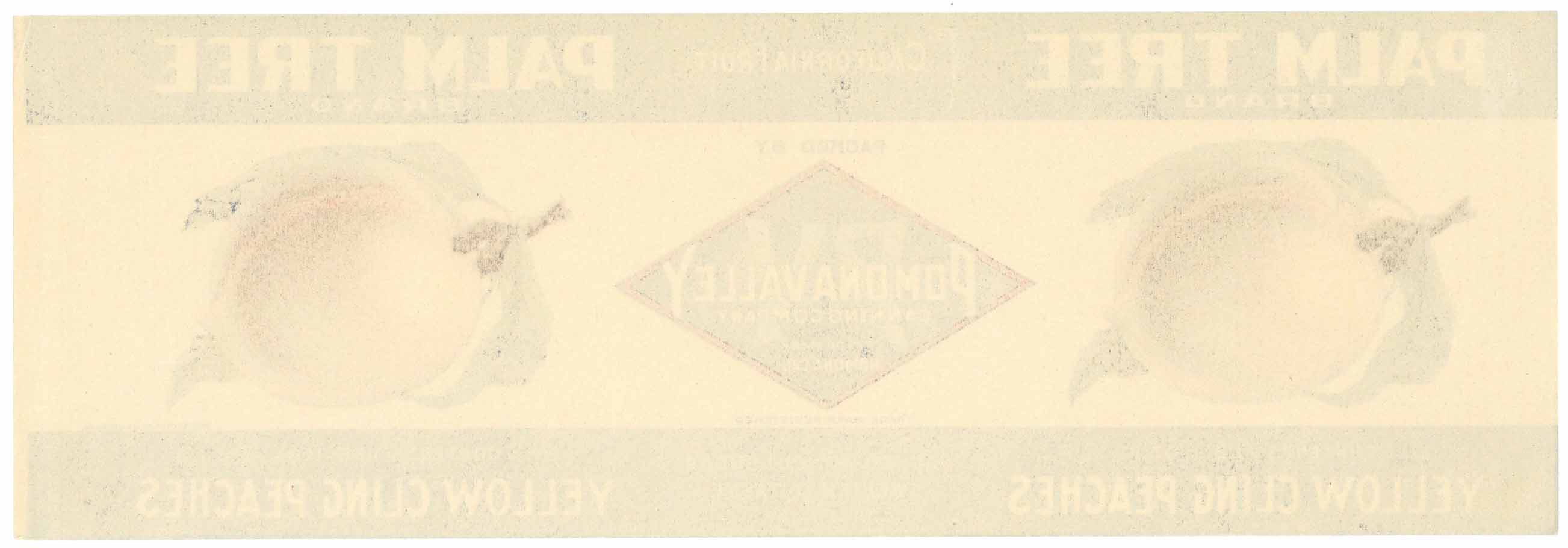 Palm Tree Brand Pomona California Peach Can Label – thelabelman