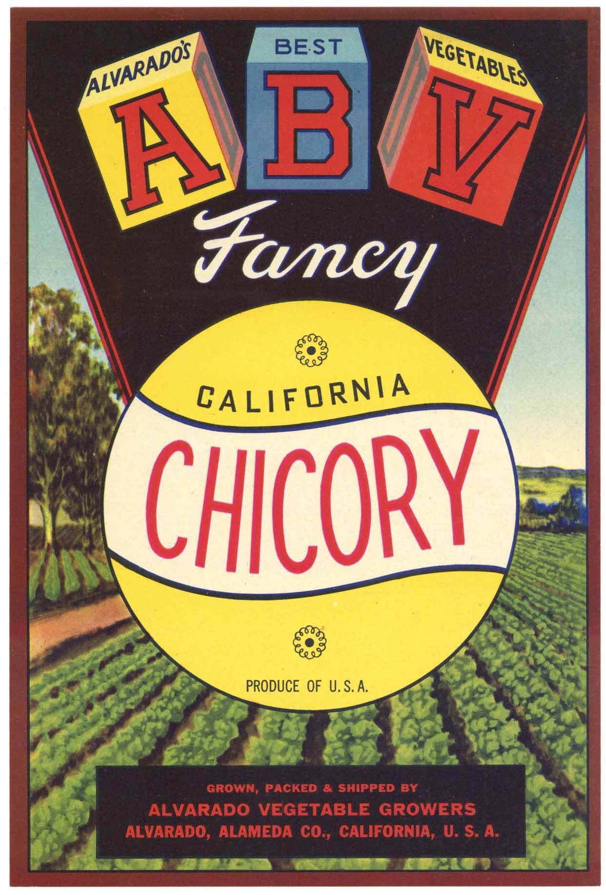 A B V Brand Vintage Alvarado California Chicory Crate Label – thelabelman