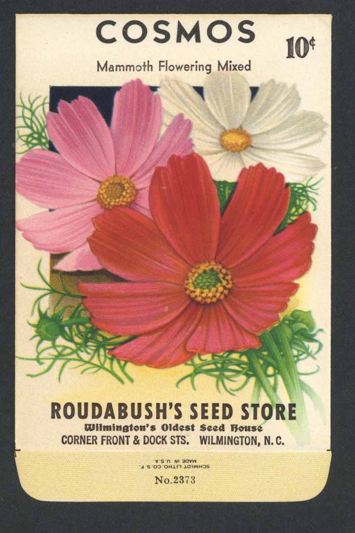Cosmos Vintage Roudabush's Seed Packet – thelabelman