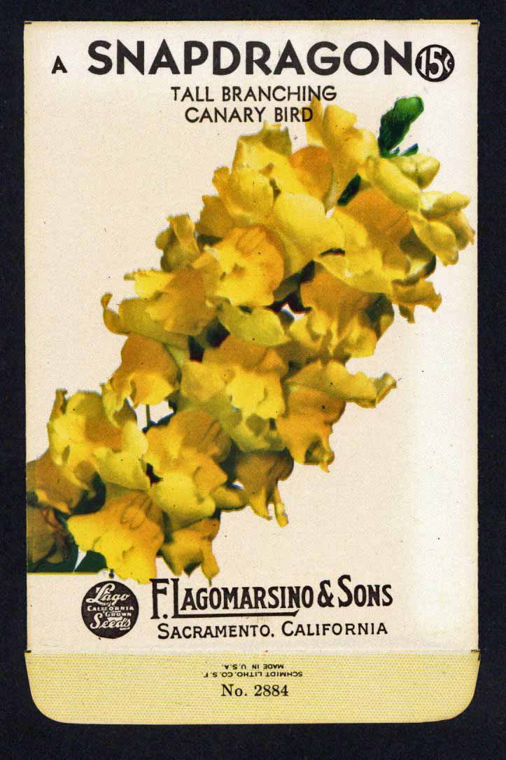 Snapdragon Vintage Lagomarsino Seed Packet, Canary Bird – thelabelman