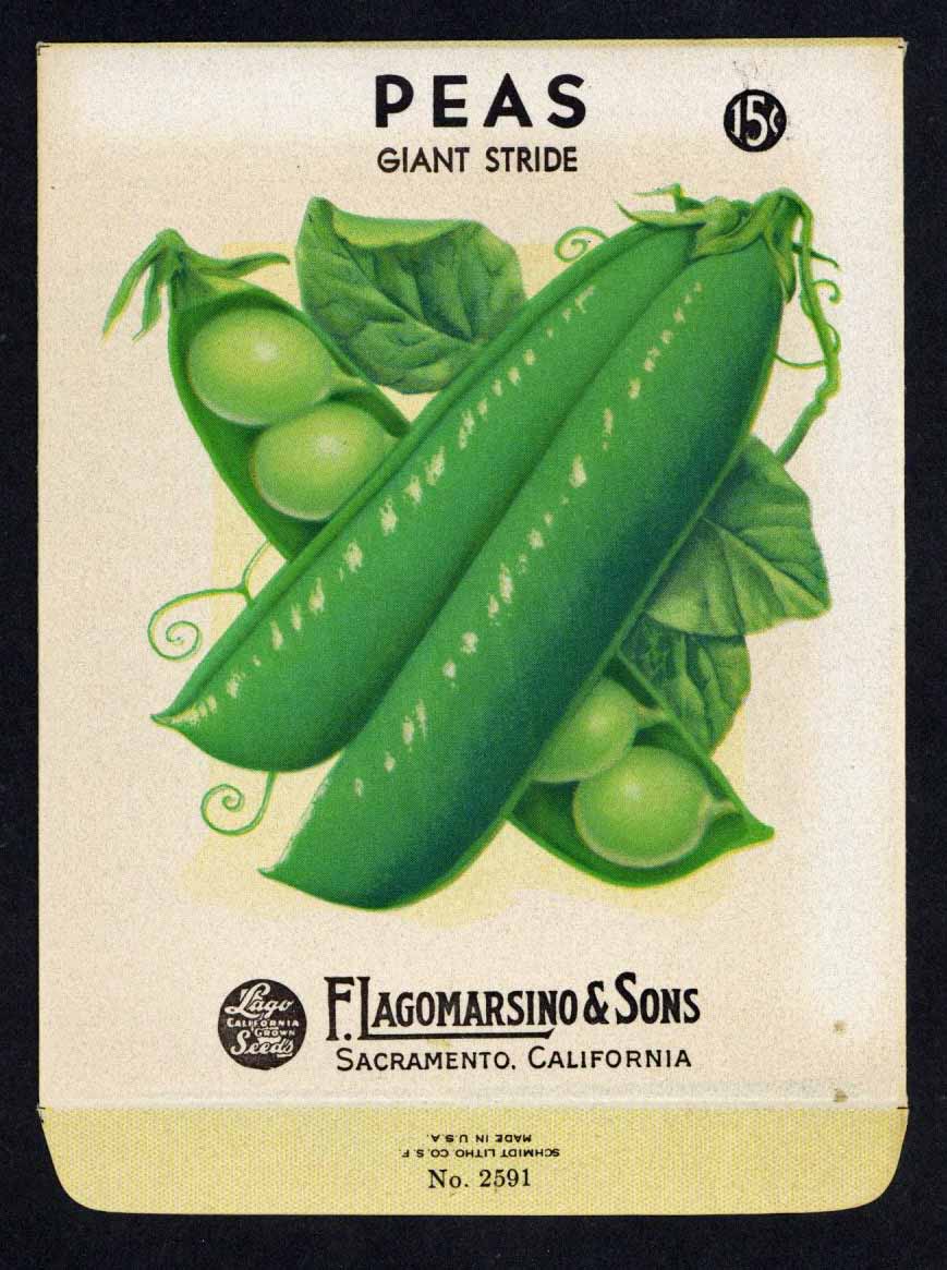 Peas Vintage Lagomarsino Seed Packet – thelabelman