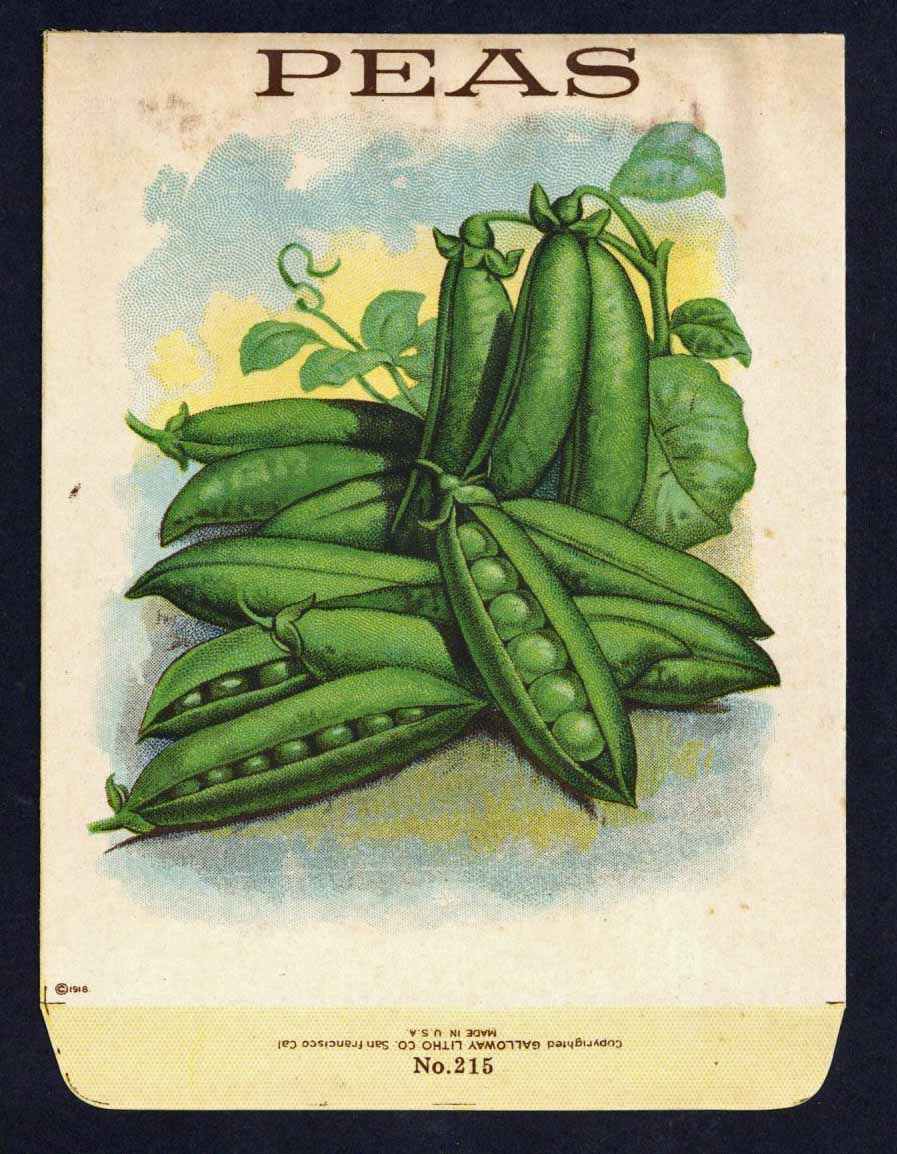 Peas Antique Stock Seed Packet – thelabelman