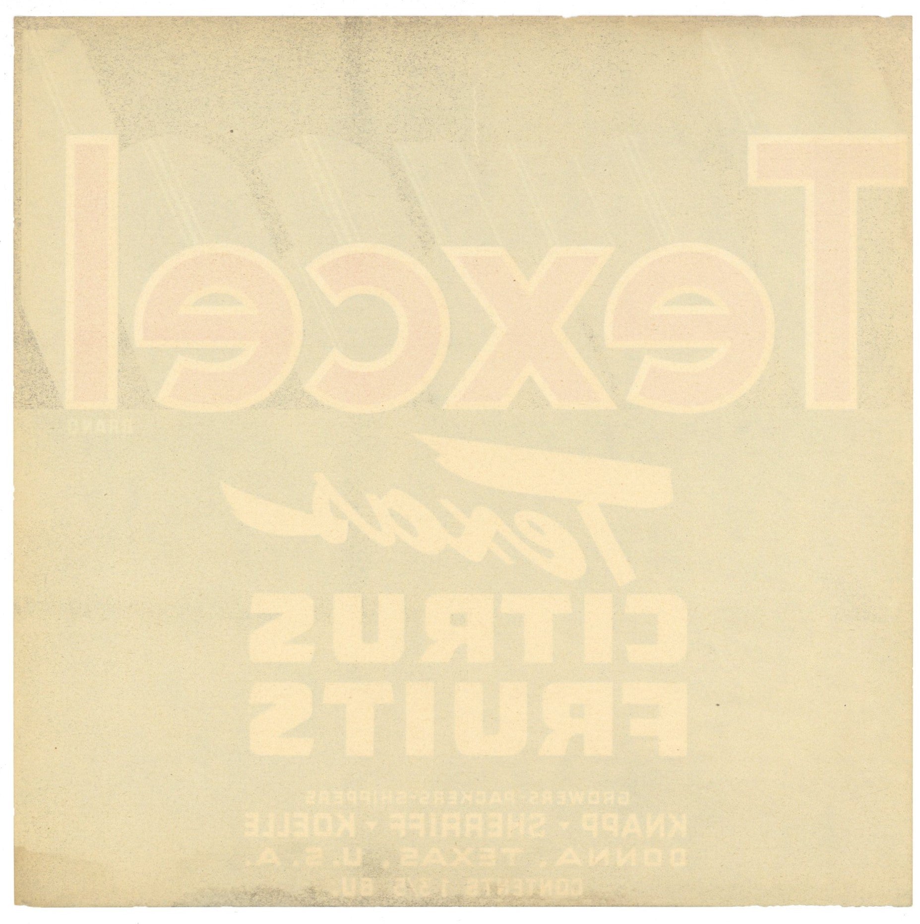Texcel Brand Vintage Donna Texas Citrus Crate Label – thelabelman
