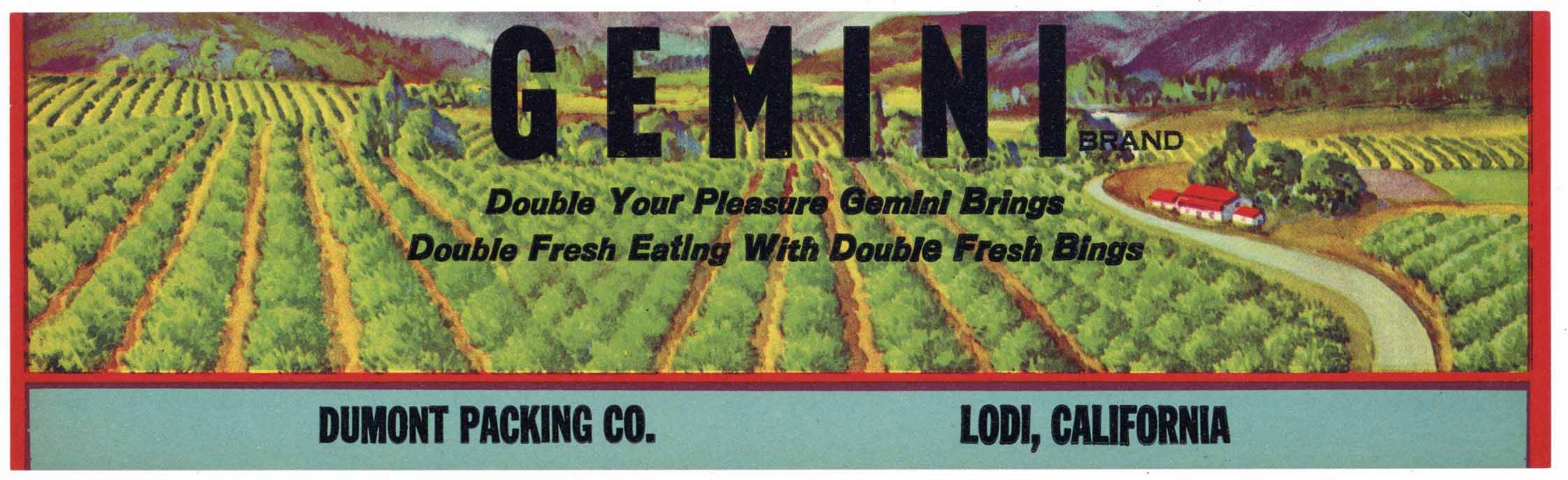 Gemini Brand Vintage Lodi California Produce Crate Label – thelabelman