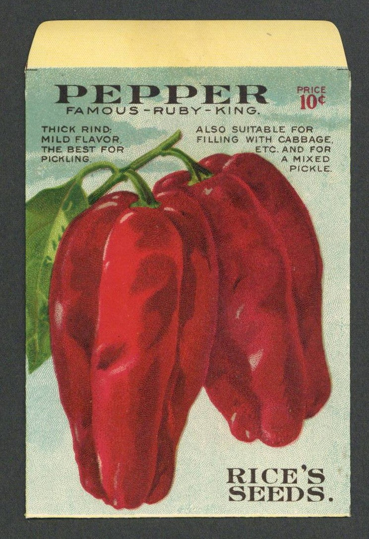 Pepper Antique Rice's Seed Packet, Famous Ruby King – thelabelman
