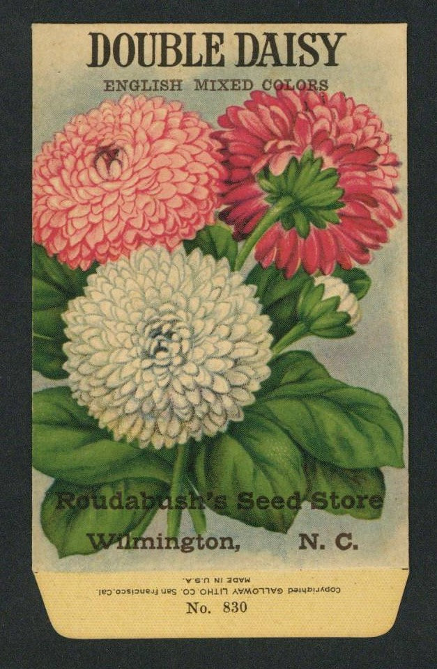 Double Daisy Antique Seed Packet Roudabush's Seed Store – thelabelman