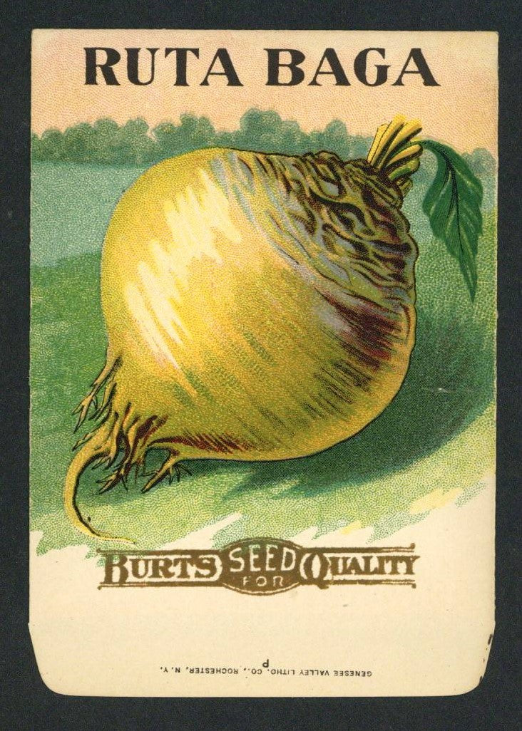 Ruta Baga Antique Burt's Seed Packet – thelabelman