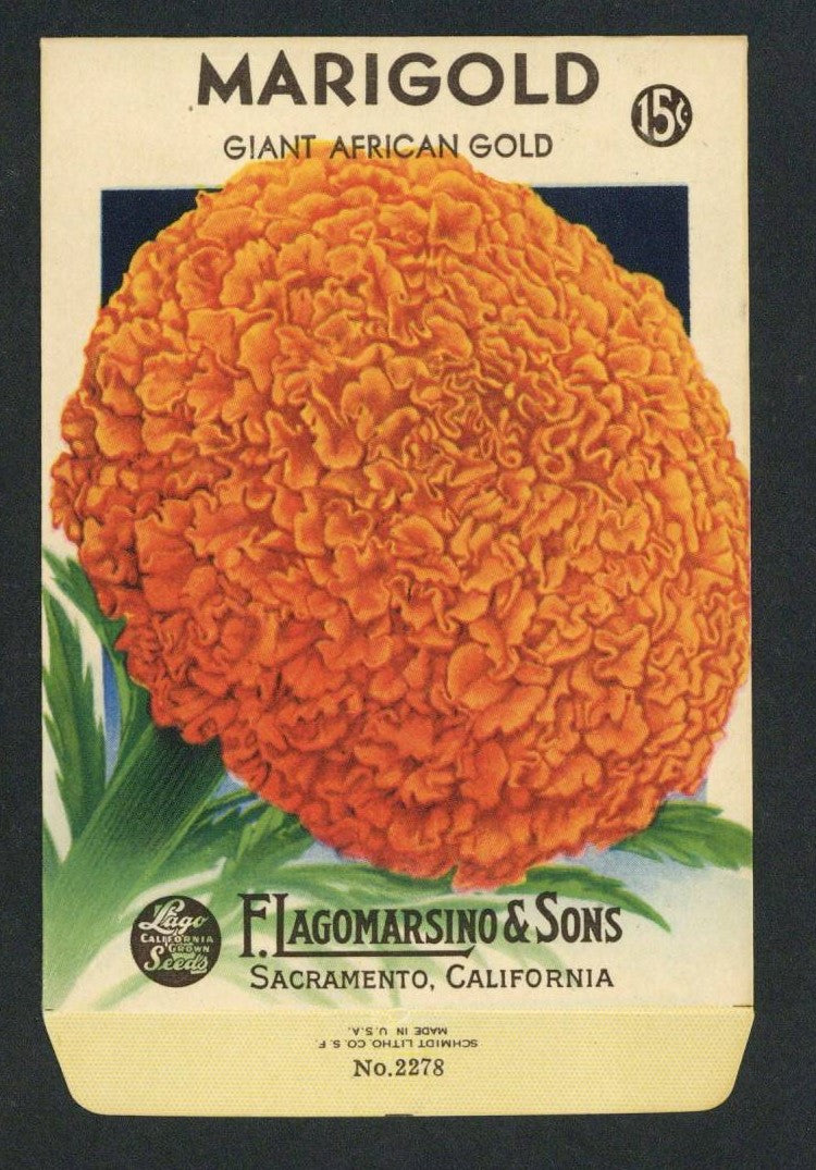 Marigold Vintage Lagomarsino Seed Packet, Giant African Gold – thelabelman