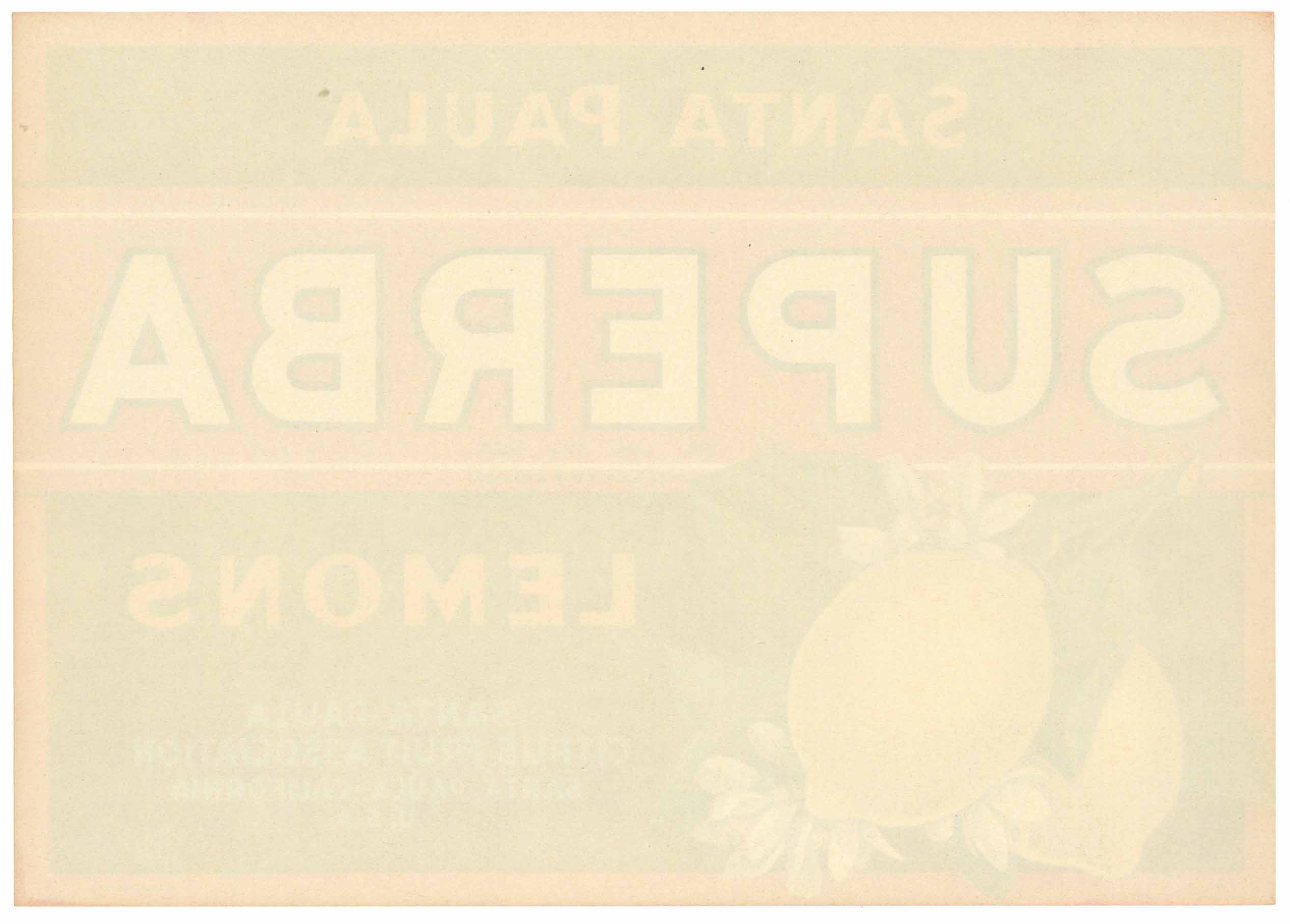 Superba Brand Vintage Santa Paula Lemon Crate Label – thelabelman