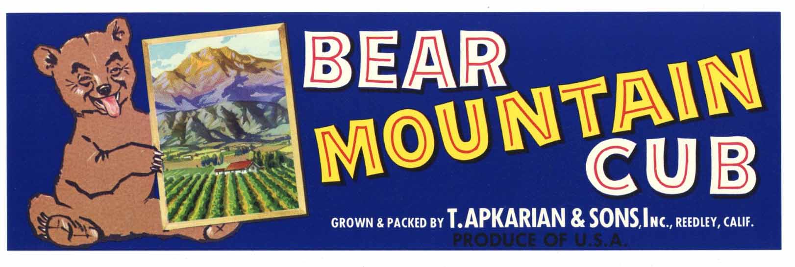 Bear Mountain Cub Brand Vintage Fruit Crate Label – thelabelman