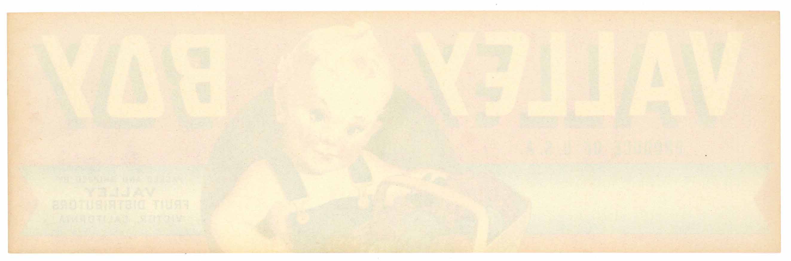 Valley Boy Brand Vintage Victor Fruit Crate Label – thelabelman