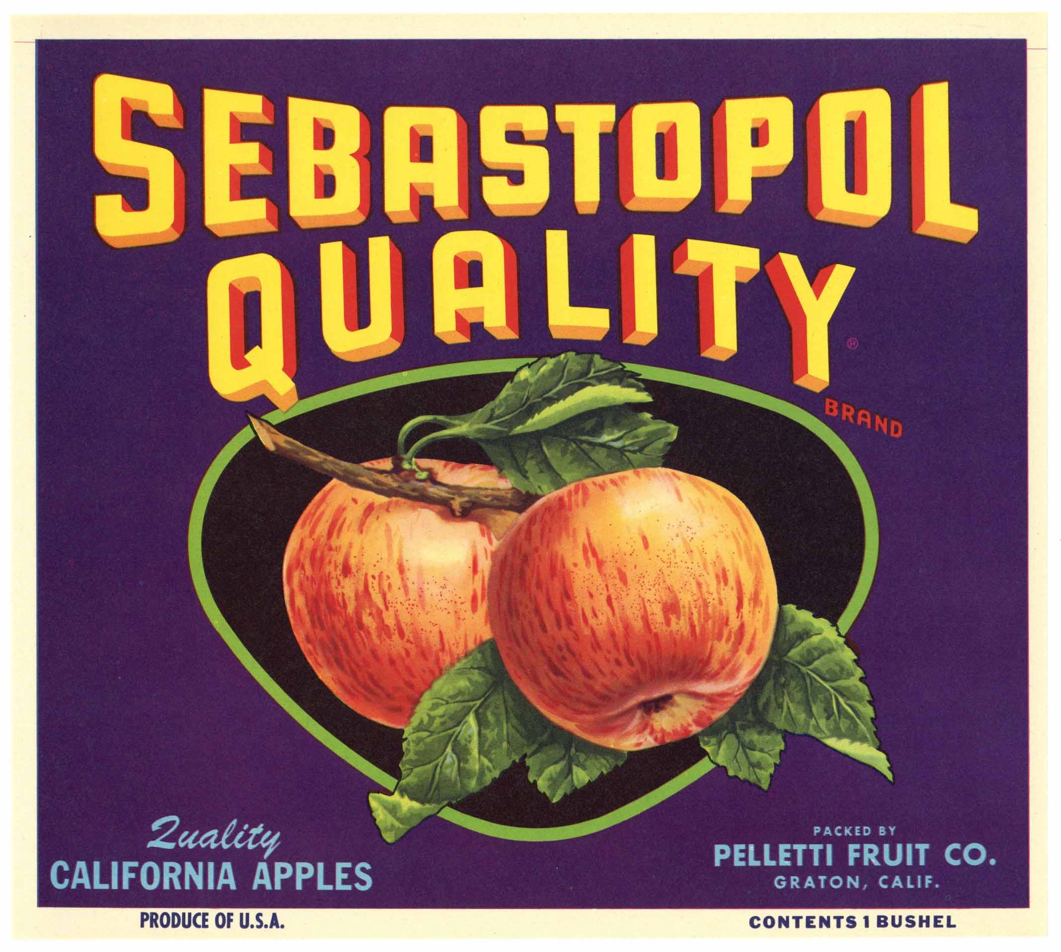 Sebastopol Quality Brand Vintage Apple Crate Label – thelabelman