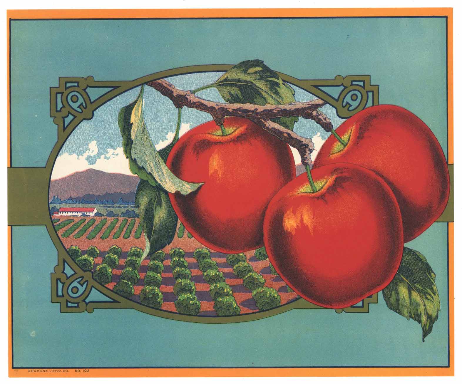 Vintage Fruit Crate Label Art Collecting Fruit Crate Labels