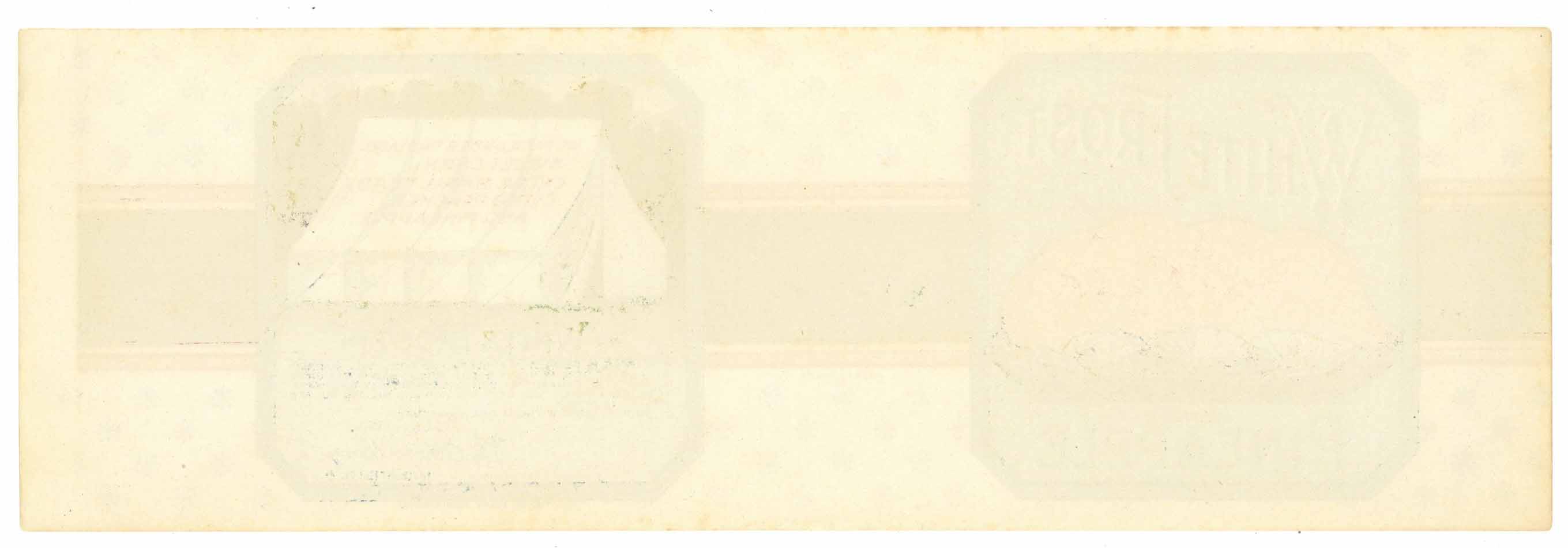 White Frost Brand Vintage Hawaiian Pineapple Can Label – thelabelman