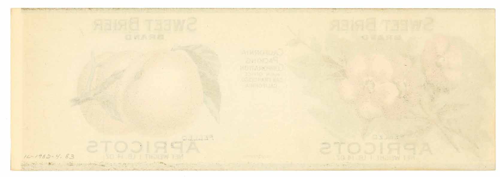 Sweet Brier Brand Vintage Apricot Can Label – thelabelman