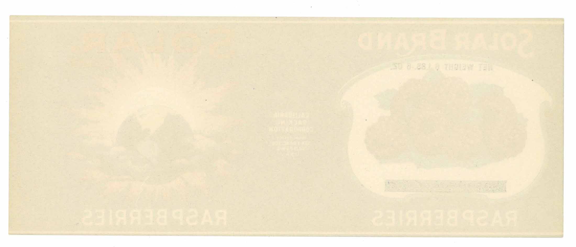 Solar Brand Vintage Raspberry Can Label – thelabelman