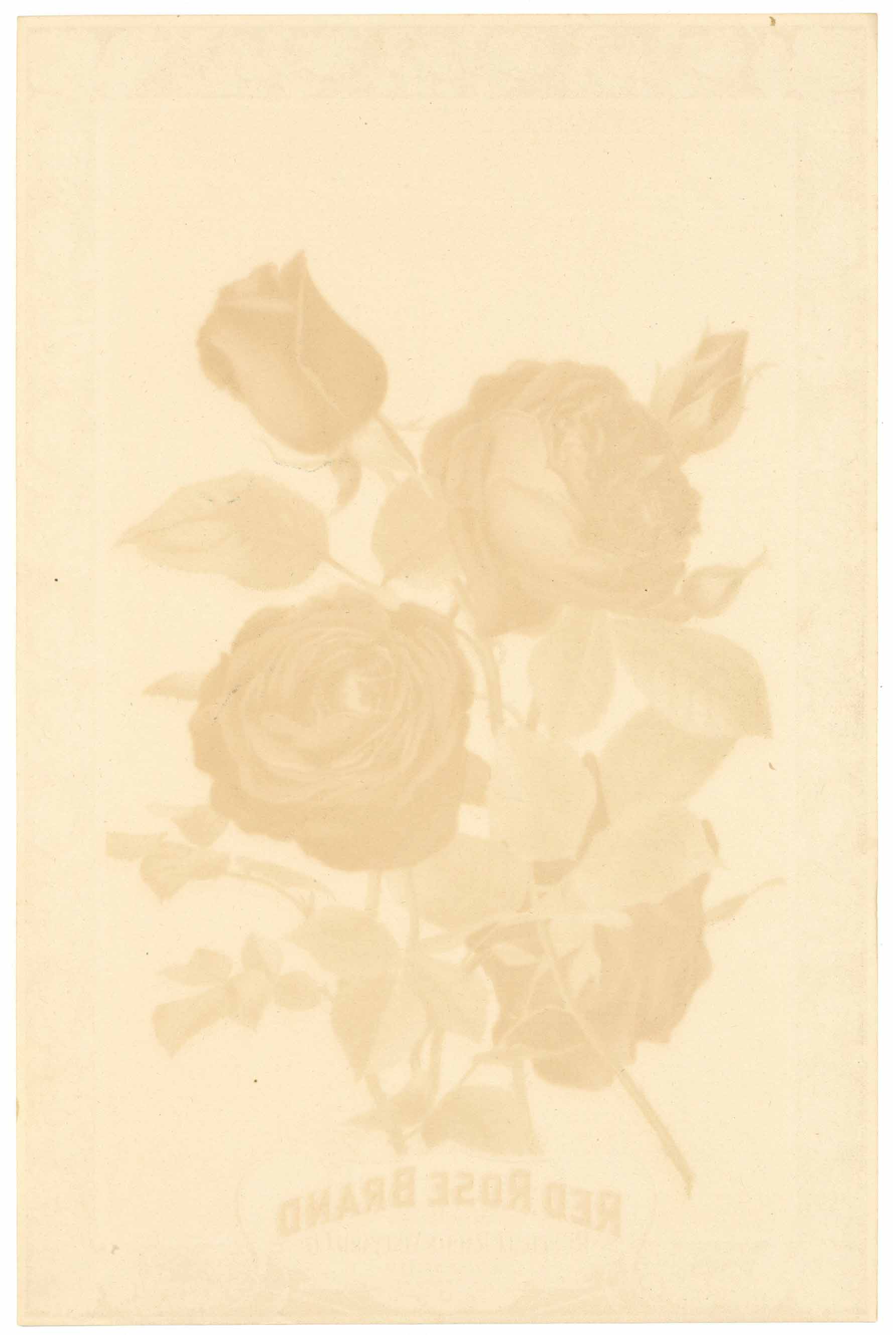 Red Rose Brand Vintage Bakersfield Raisin Label – thelabelman