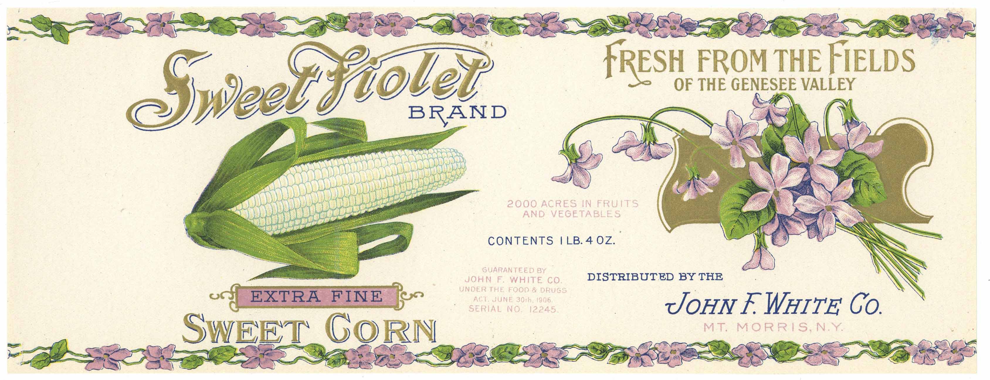 Sweet Violet Brand Vintage Mt. Morris, New York Sweet Corn Can Label ...