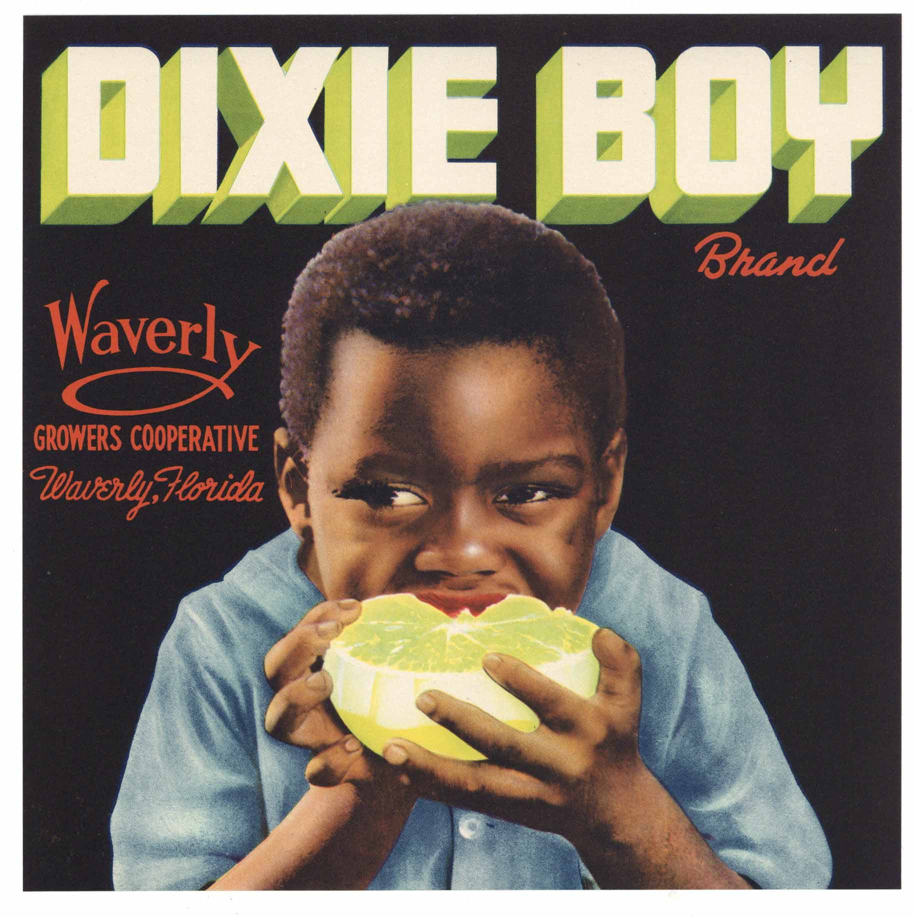 Dixie Boy Brand Vintage Waverly Florida Citrus Crate Label – thelabelman