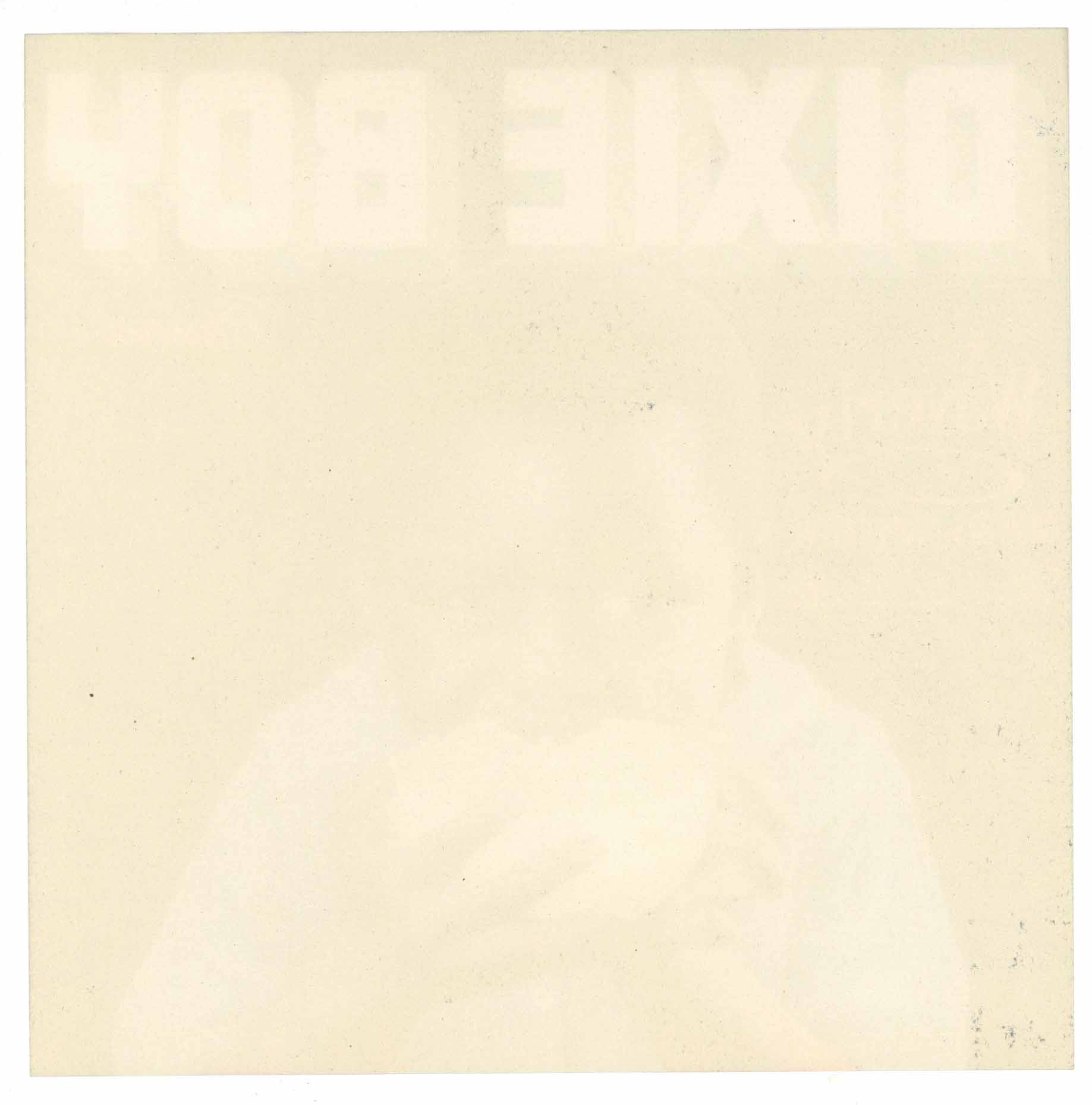 Dixie Boy Brand Vintage Waverly Florida Citrus Crate Label – thelabelman