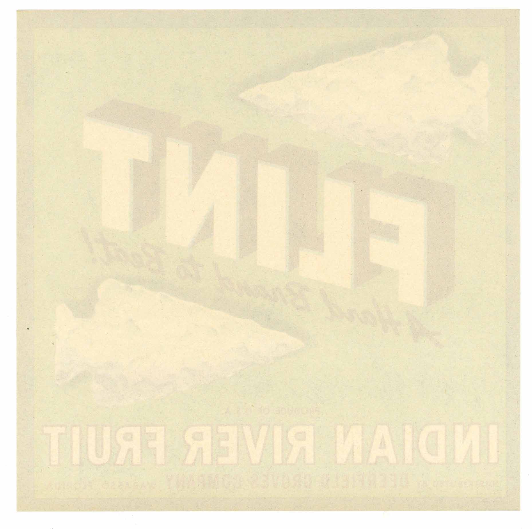 Flint Brand Vintage Wabasso Florida Citrus Crate Label – thelabelman