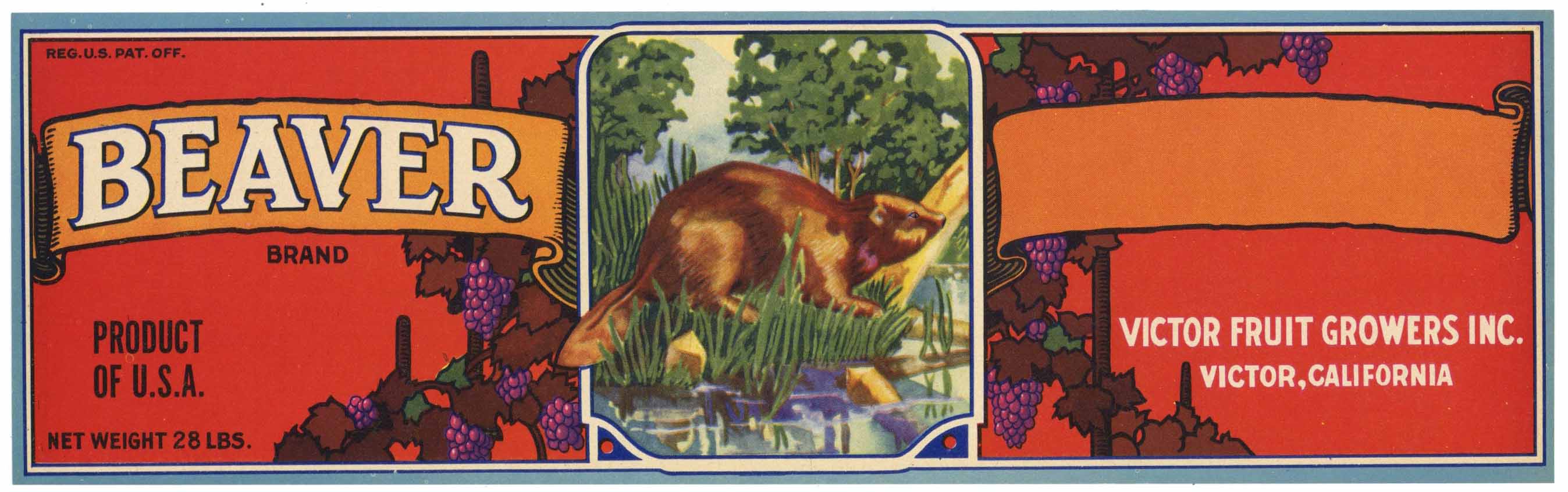 Beaver Brand Vintage Grape Crate Label, blue trim – thelabelman