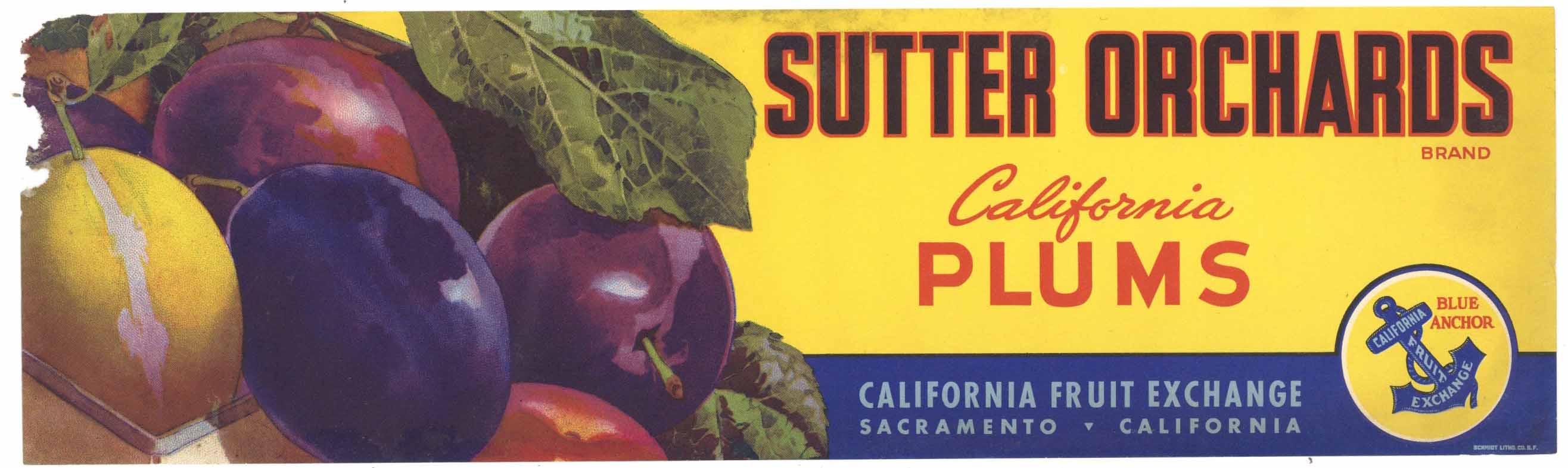 Sutter Orchards Brand Vintage Plum Crate Label, damage – thelabelman