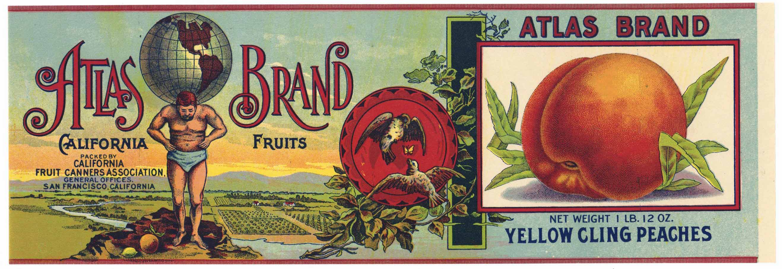 Atlas Brand Vintage Yellow Cling Peaches Can Label – thelabelman