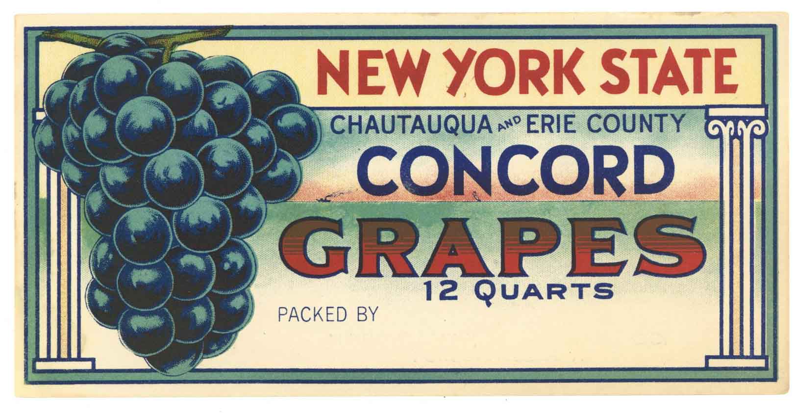 Concord Grape Clusters