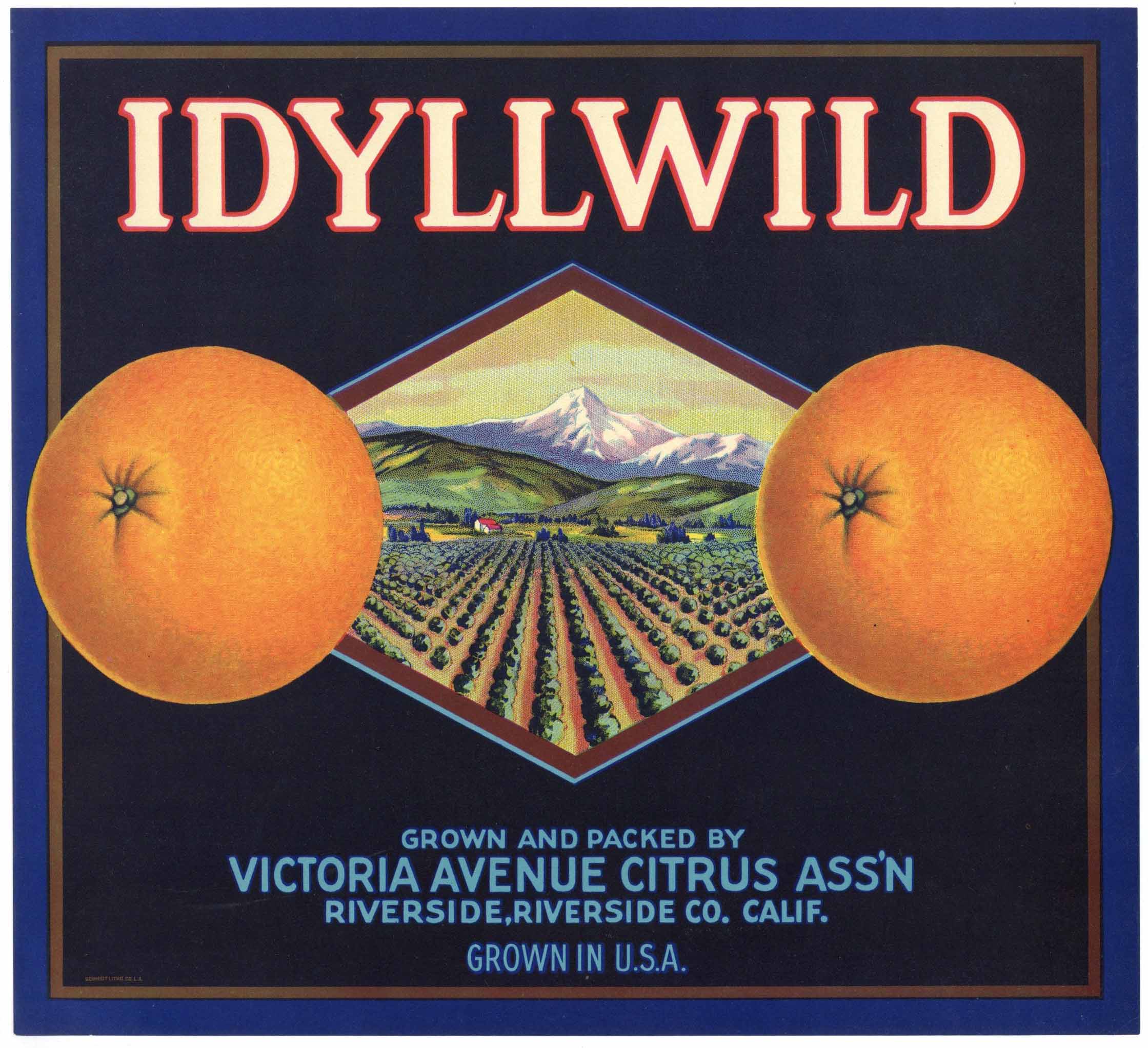 Idyllwild Brand Vintage Riverside Orange Crate Label, wear – thelabelman
