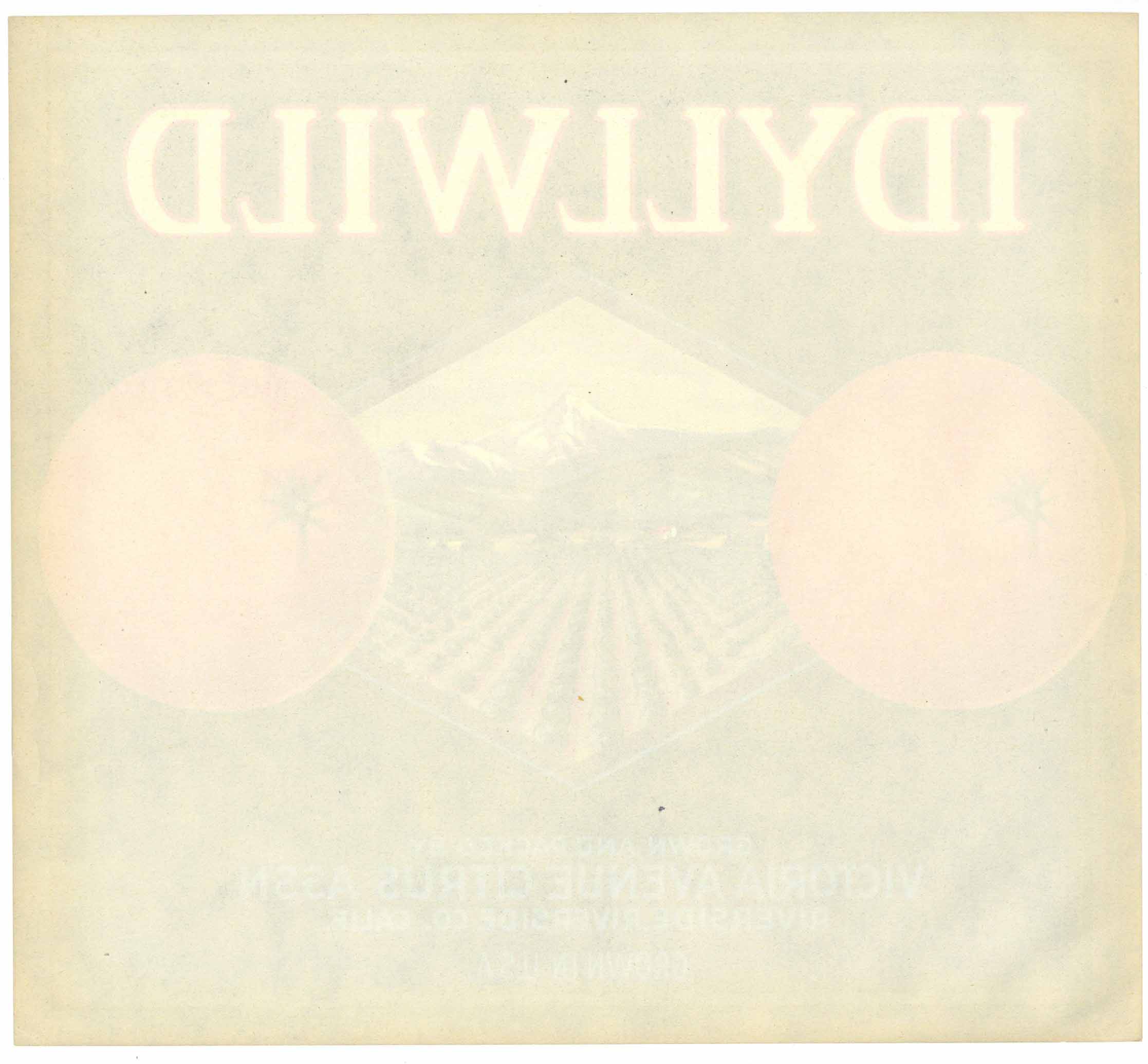 Idyllwild Brand Vintage Riverside Orange Crate Label, wear – thelabelman