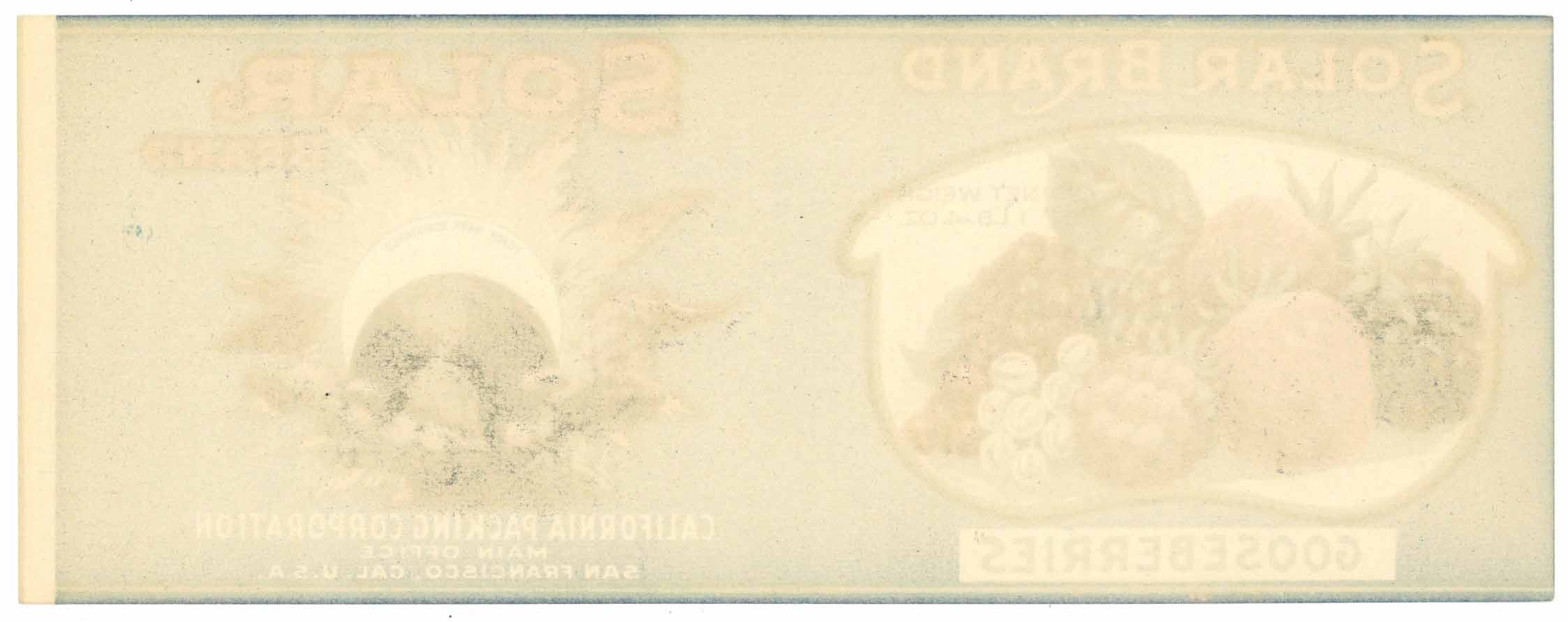 Solar Brand Vintage Gooseberry Can Label, Mixed Vignette – thelabelman