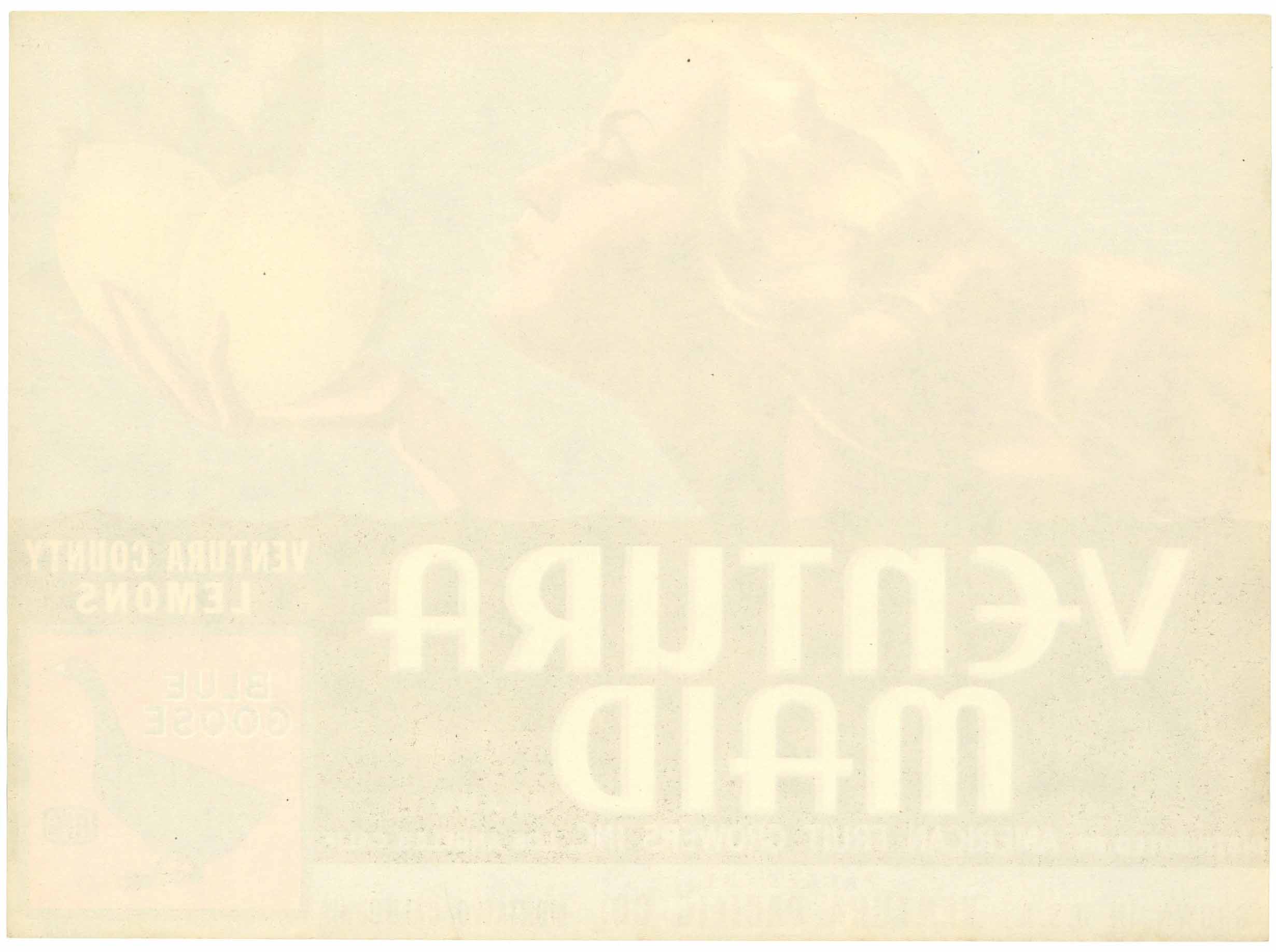 Ventura Maid Brand Vintage Lemon Crate Label – thelabelman